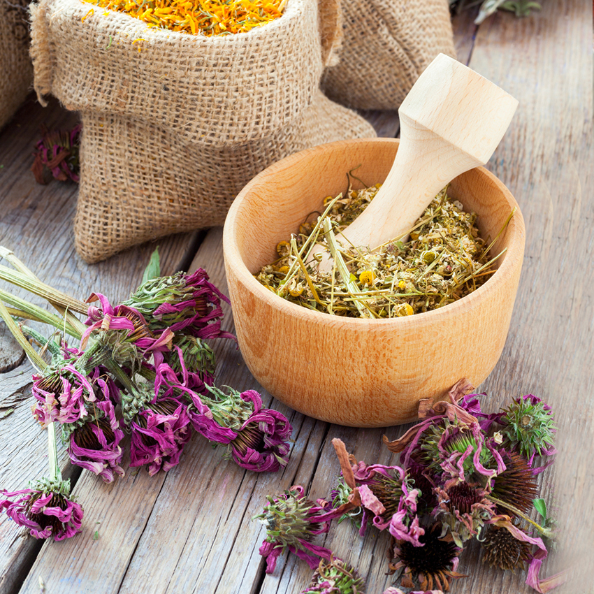 Découvrez les vertus médicinales des épices - WeMystic France