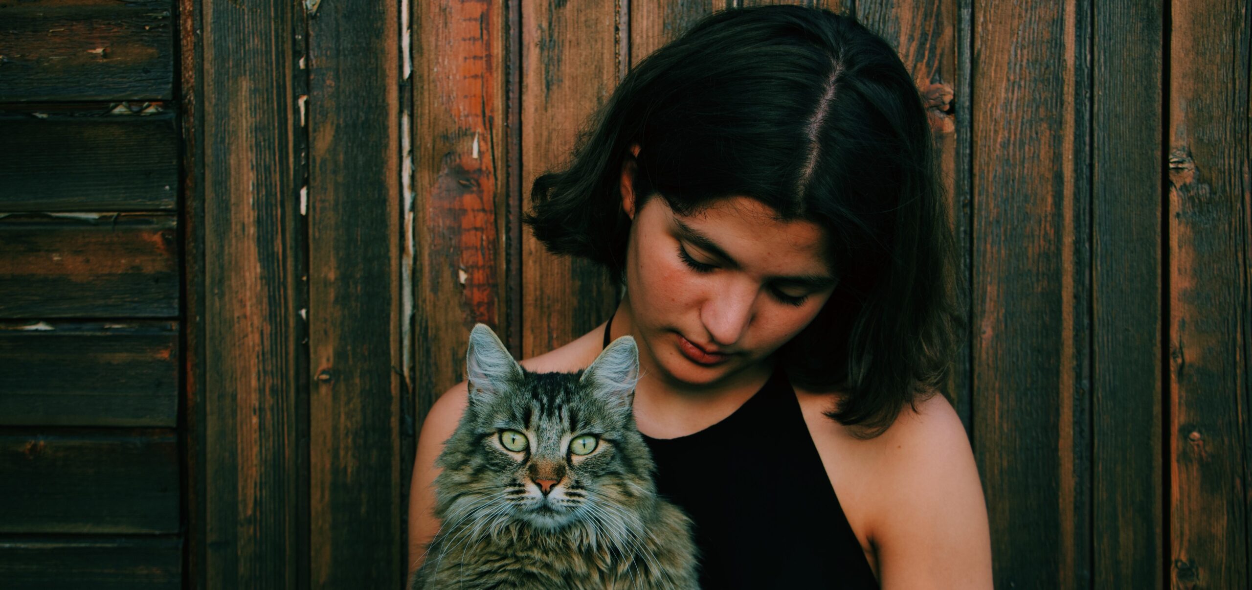 Les chats ressentent les gens et leur personnalité - WeMystic France