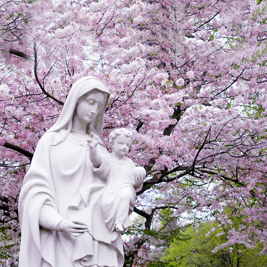 Prière à la Vierge Marie : à faire avec un rosaire près de votre cœur ...