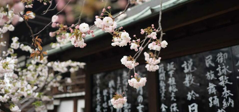 Qu'est-ce que Ichigo ichie ? Les 10 règles du chemin du bonheur japonais