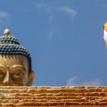 Le corps subtil bouddhique : comprendre sa nature - WeMystic France