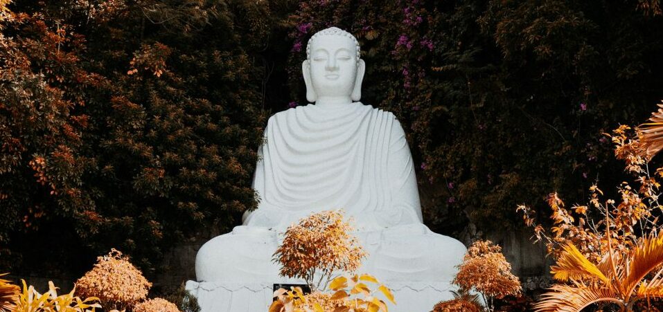 Sakya : tout ce que vous devez savoir... - WeMystic France